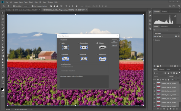 Quick guide to focus stacking with Lightroom and Photoshop – Kevin ...